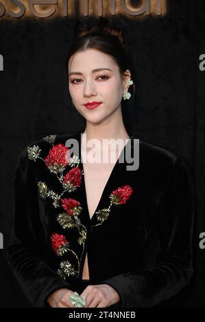 Russian actress Narana Erdyneeva attends the VOGUE activity in Shanghai ...