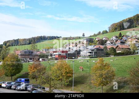 (231101) -- KONOLFINGEN, Nov. 1, 2023 (Xinhua) -- This photo taken on ...
