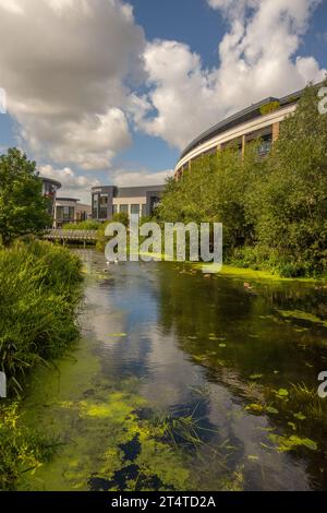 The River Chelmer running through Chelmsford City centre in Essex Stock ...