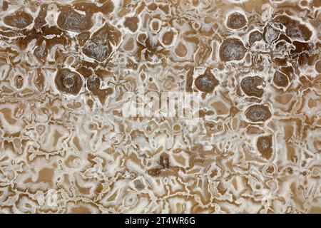 Alkaline stains on cement walls Stock Photo - Alamy