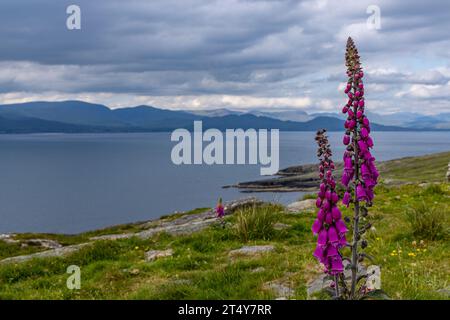 Ring of Beala Stock Photo - Alamy
