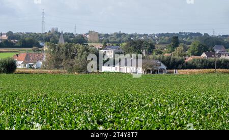 Asse, Flemish Brabant, Belgium, October 14, 2023 - The agriculture ...