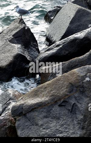 Rock armour against the East Pier at West Bay Stock Photo - Alamy