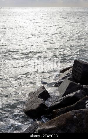 Rock armour against the East Pier at West Bay Stock Photo - Alamy