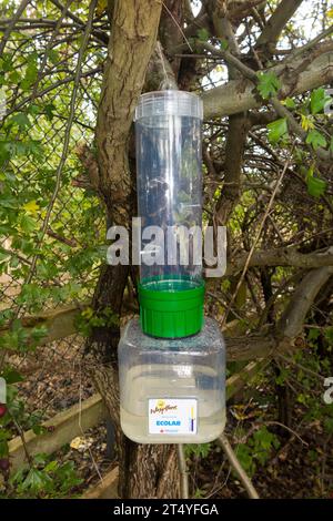 Waspbane Ecolab chemical free wasp trap designed to trap large numbers ...