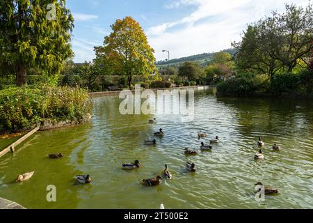 The boating pond in Hall Leys Park, Matlock, Derbyshire, England Stock ...
