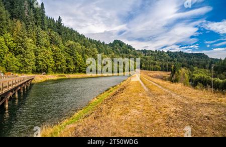 Lewis River between Swift Reservoir and Yale Lake, embankment at Forest ...