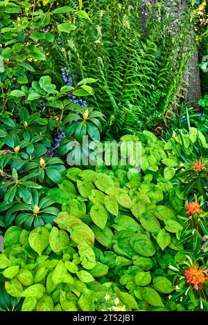 a backyard garden with lots of plants and trees in the area, including ...