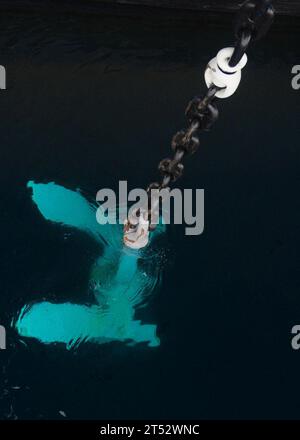 anchor, forecastle, INSURV, Pacific Ocean, U.S. navy photo, USS Carl ...