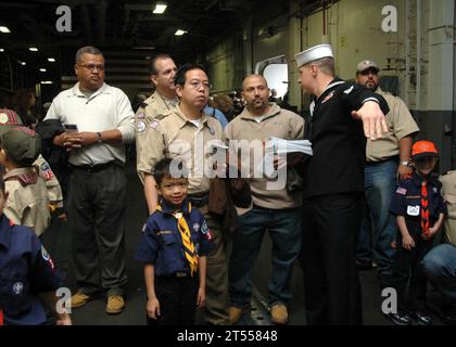 Great White Flee, Nassau, New York Stock Photo - Alamy