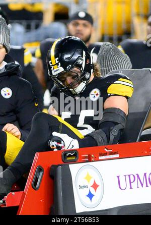 Pittsburgh Steelers linebacker Cole Holcomb (55) rushes during the ...
