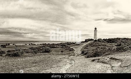 panorama of the german island hiddensee in the baltic sea Stock Photo ...