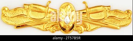 US Navy Surface Warfare - Medical Service Corps insignia.jpg Stock ...