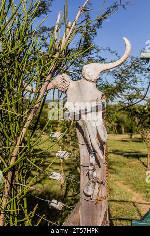 Mara Buffalo Camp, Masai Mara, Kenya Stock Photo - Alamy