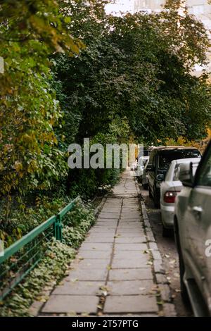 Empty stone slabs pathway Stock Photo - Alamy