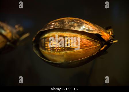 Original Jabba the Hutt's eyes from Star Wars - Return of the Jedi ...