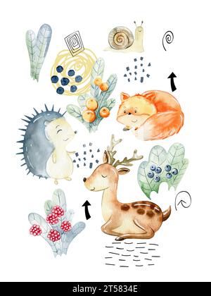 Watercolor woodland animals. Deer for wall stickers, posters ...