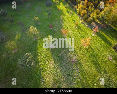 Willingham Cambridgeshire, UK. 3rd Nov, 2023. Trees turn a spectacular ...