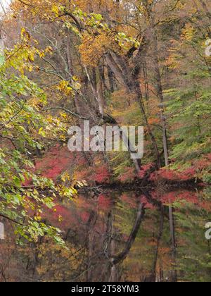 Speedwell Lake Park New Jersey Stock Photo - Alamy