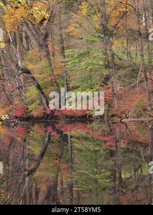 Speedwell Lake Park New Jersey Stock Photo - Alamy