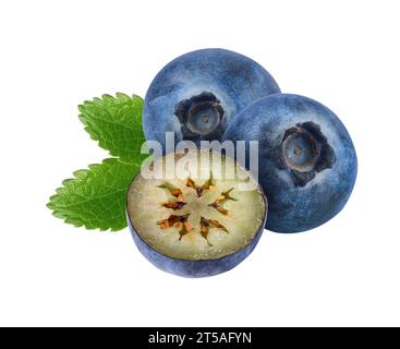 Half of tasty blueberry isolated on white Stock Photo - Alamy