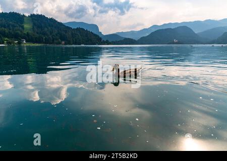 Lake Bled surrounded by mountains, Slovenia Stock Photo - Alamy