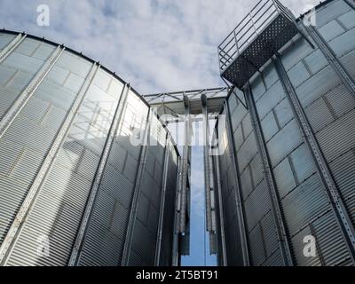 Storage silo for paddy rice at a milling plant Stock Photo - Alamy