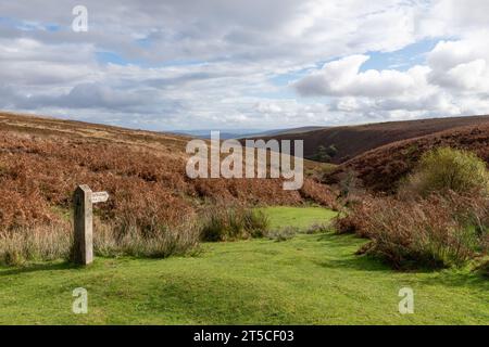 Bridleway to Porlock off Exmoor Stock Photo - Alamy