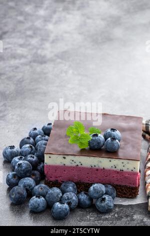 Berry, poppy seed layered cake on white plate. Grey background. Copy ...