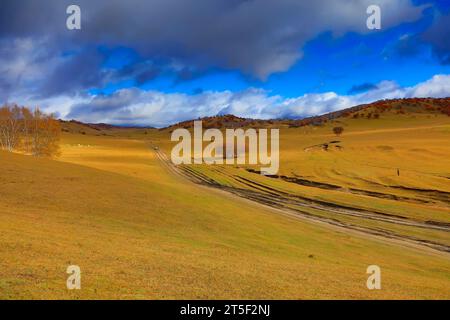 sights of the Ulan prairie in Inner Mongolia, China Stock Photo - Alamy