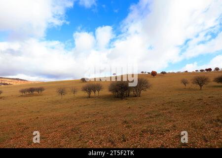 sights of the Ulan prairie in Inner Mongolia, China Stock Photo - Alamy
