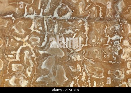 Salt and alkali texture on the wall of cement Stock Photo - Alamy