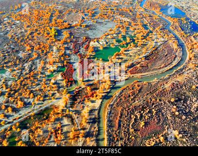 Bazhou, China. 05th Nov, 2023. BAZHOU, CHINA - NOVEMBER 4, 2023 ...
