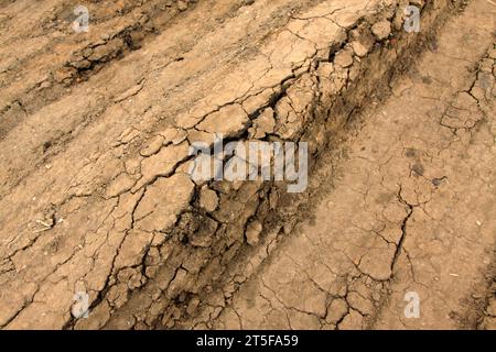 tracing rut on the land, in the wilderness Stock Photo - Alamy