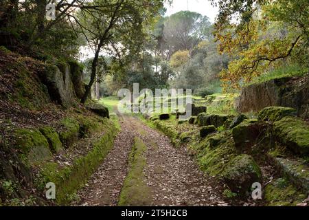 Italy Lazio Cerveteri Etruscan necropolis of the Banditaccia Stock ...