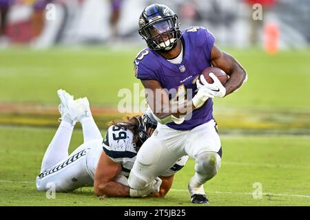 Seattle Seahawks linebacker Jon Rhattigan (59) carries the 12th man ...