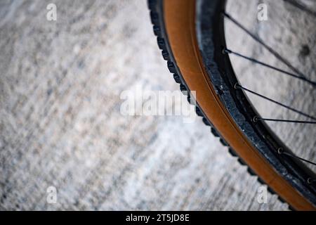 Tan wall mountain bike tyre on a black rim wheel Stock Photo - Alamy