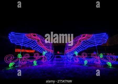 Lighting effect of wing shape in black background Stock Photo - Alamy