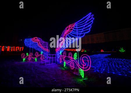 Lighting effect of wing shape in black background Stock Photo - Alamy