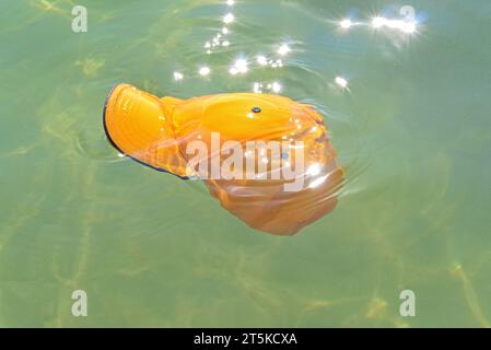 the cap floats on the surface of the water Stock Photo - Alamy