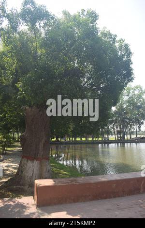 Shilaidaha Rabindra Kuthibari, Kumarkhali, Kushtia, Bangladesh Stock ...