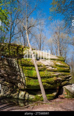 Thunder Rocks Area of Allegany State Park in New York State Stock Photo ...