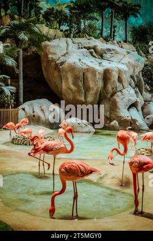A closeup of a red flamingo (Phoenicopteridae) against green lush ...