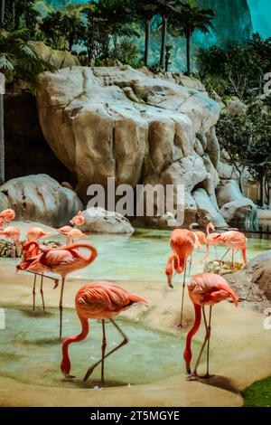 A closeup of a red flamingo (Phoenicopteridae) against green lush ...