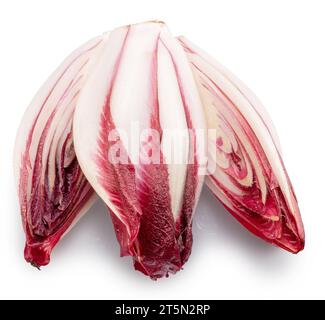 Red endive and cross section of endive on white background. File ...