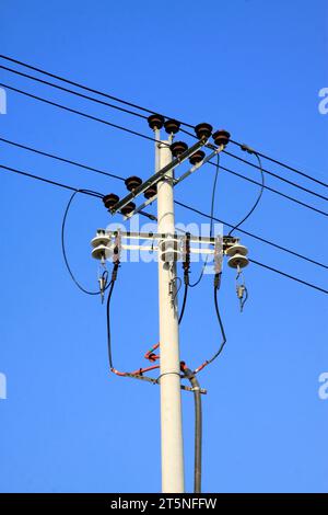 Telegraph poles and porcelain under blue sky Stock Photo - Alamy