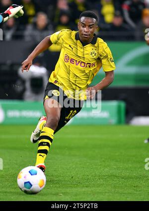 DFB Cup, Signal Iduna Park Dortmund: Borussia Dortmund vs TSG ...