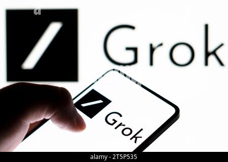 Brazil. 06th Nov, 2023. In this photo illustration, the Grok logo is ...