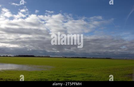 Waterlogged fields on farmland at Becconsall near Southport Lancashire ...