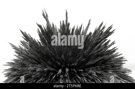 Reaction of iron dust to a strong magnet. Isolated. Visualisation of ...